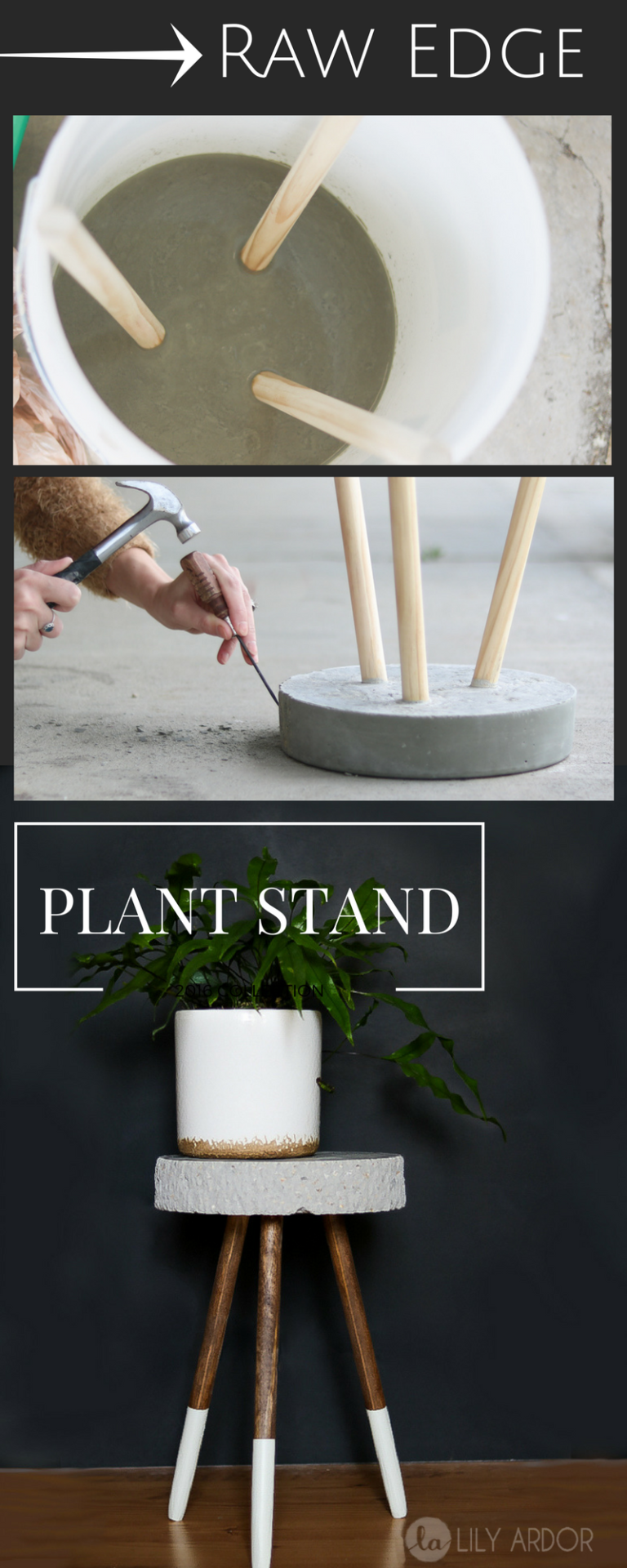 Raw Edge Concrete Plant Stand -- DIY --->> TUTORIAL