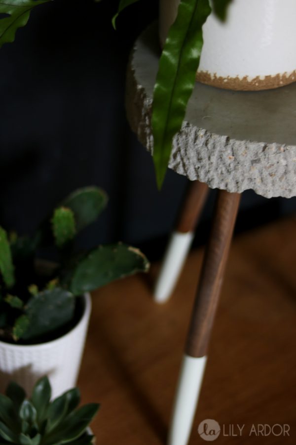 Raw Edge Concrete Plant Stand -- DIY --->> TUTORIAL