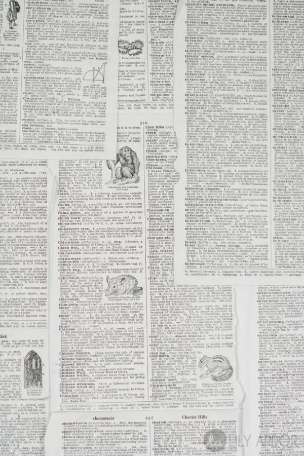 DIY bookpage WALLPAPER for $6.. Modern and Trendy