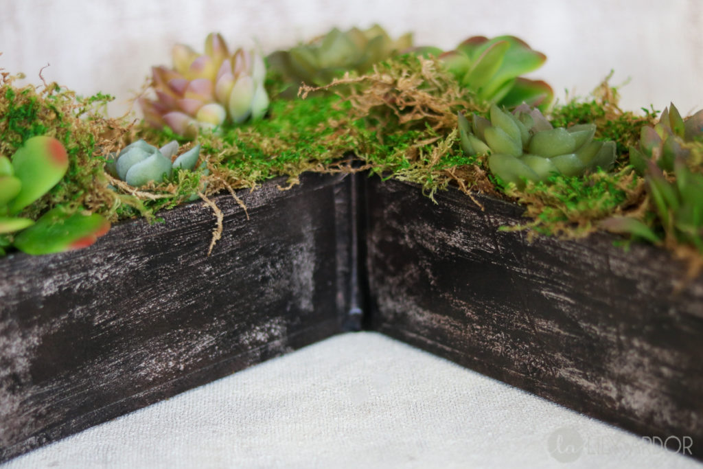 Rustic Home Decor - DIY Succulent Letter - Lily Ardor