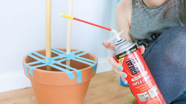 Cute Cactus DIY Plant - Lily Ardor