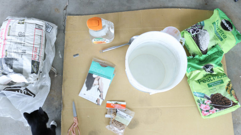 DIY Concrete Pumpkin Idea for fall - Lily Ardor