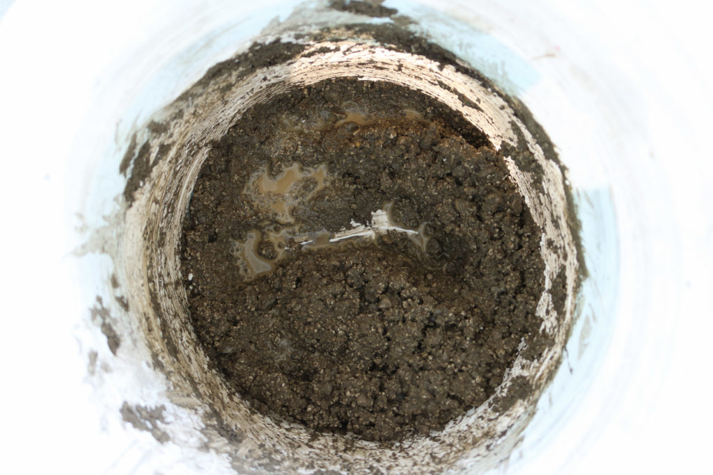 DIY Concrete Pumpkin Idea for fall - Lily Ardor