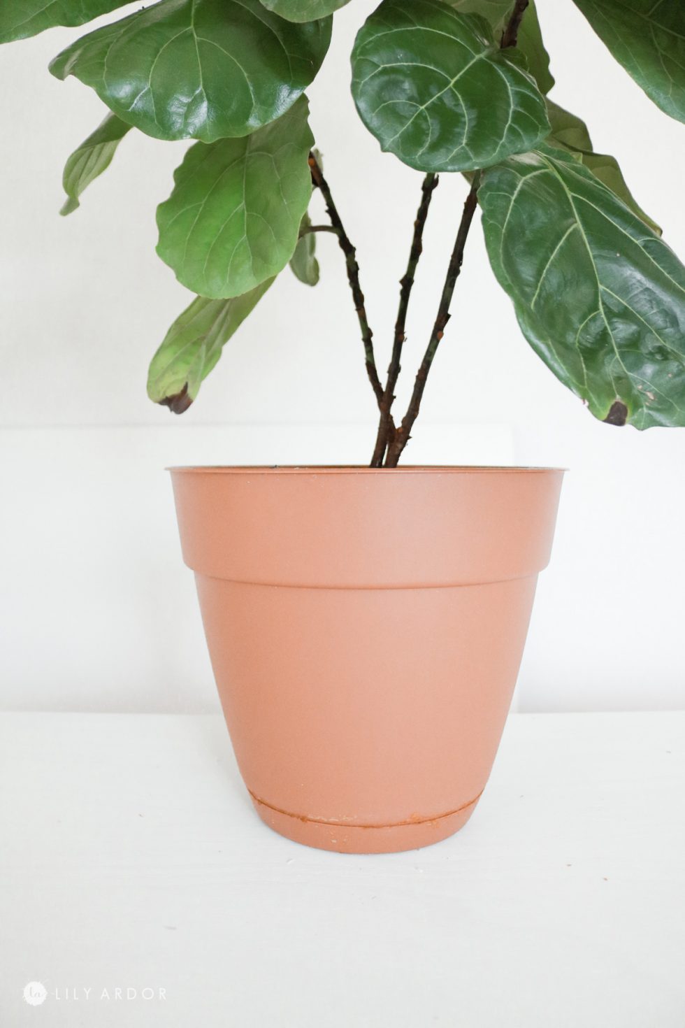 UGLY POT HACK!! FOR YOUR PLASTIC POTS! WRAP THIS OVER IT!