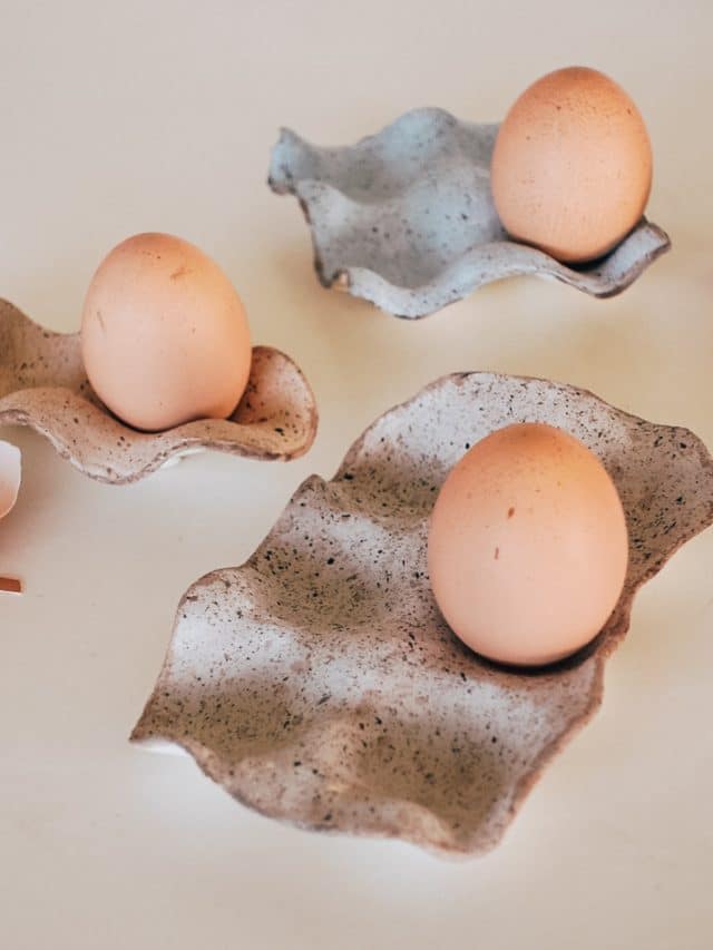 Egg Holder DIY From old egg cartons - Lily Ardor